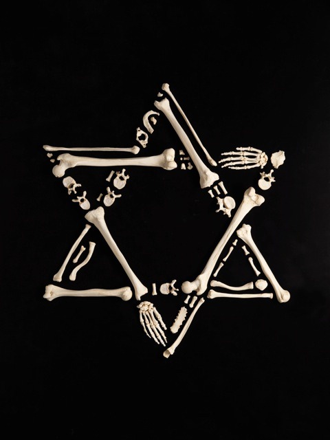 Art Made From Human Bones | Amusing Planet